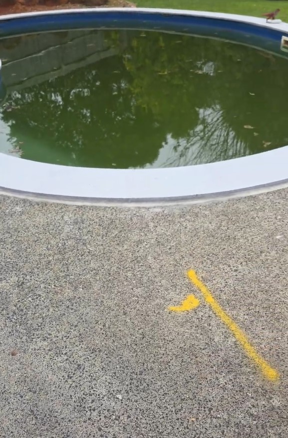 Swimming Pool - Pebble Mix
